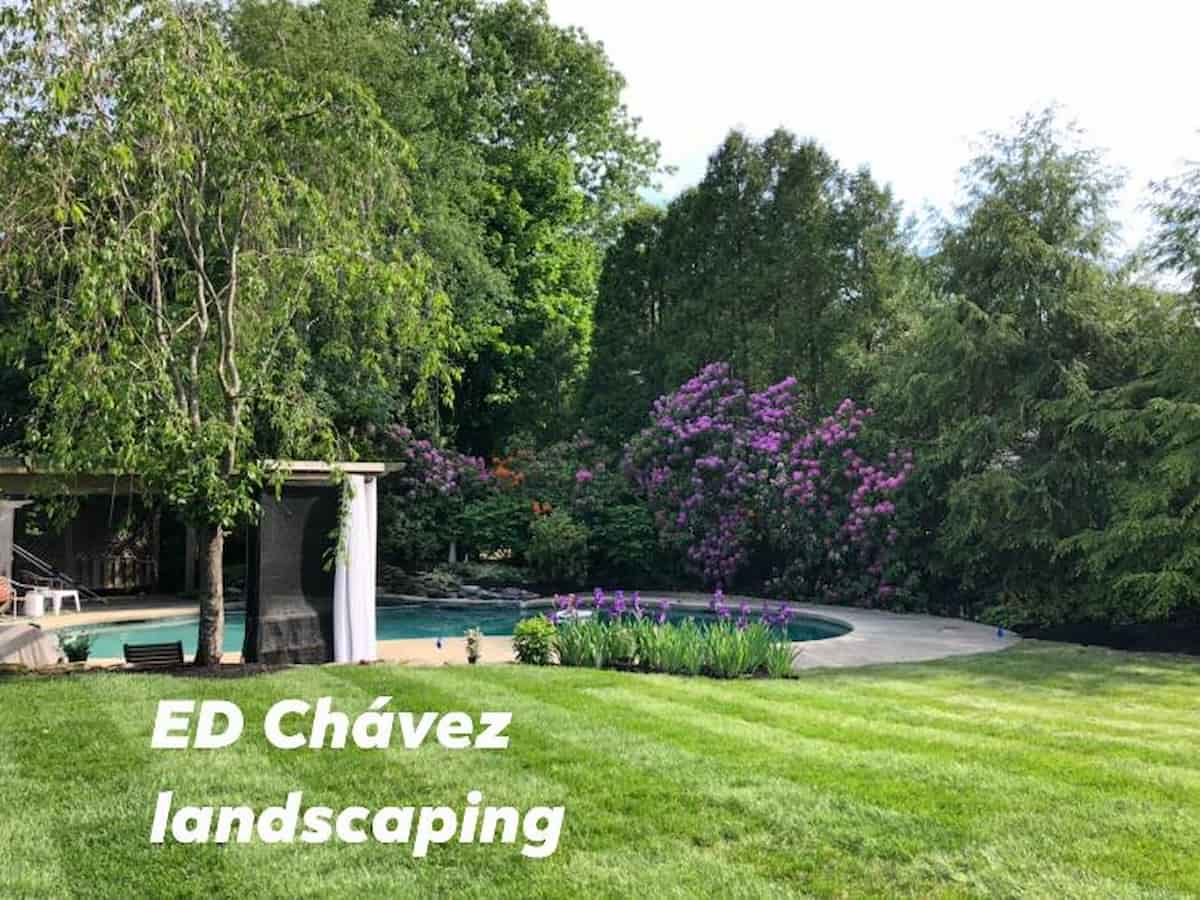 ED Chavez Landscaping - A Full-Service Landscaping Company